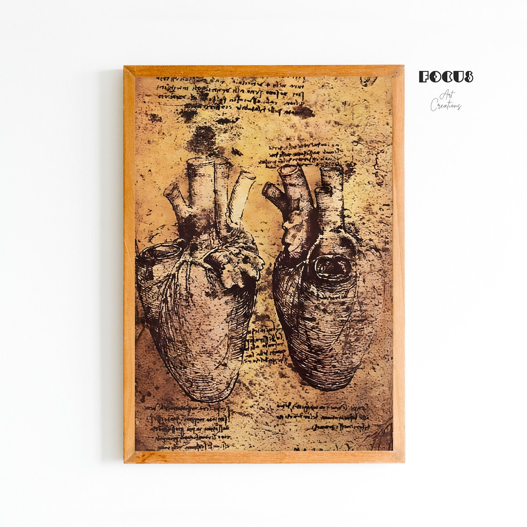 Leonardo Da Vinci, Heart and Its Blood Vessels, 1500, Da Vinci Poster ...