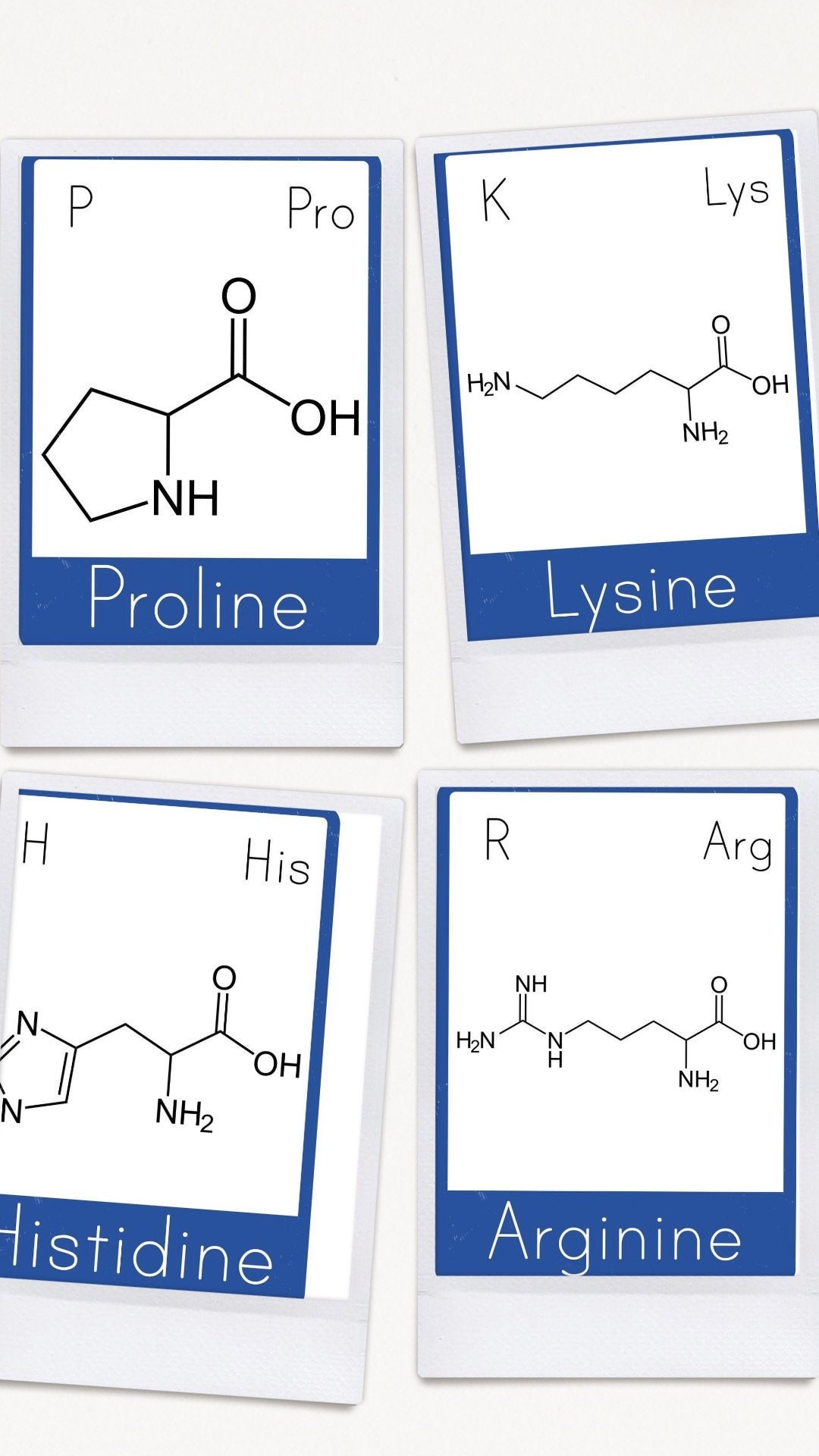 Amino Acid Flashcards Anki at Alfredo Montano blog