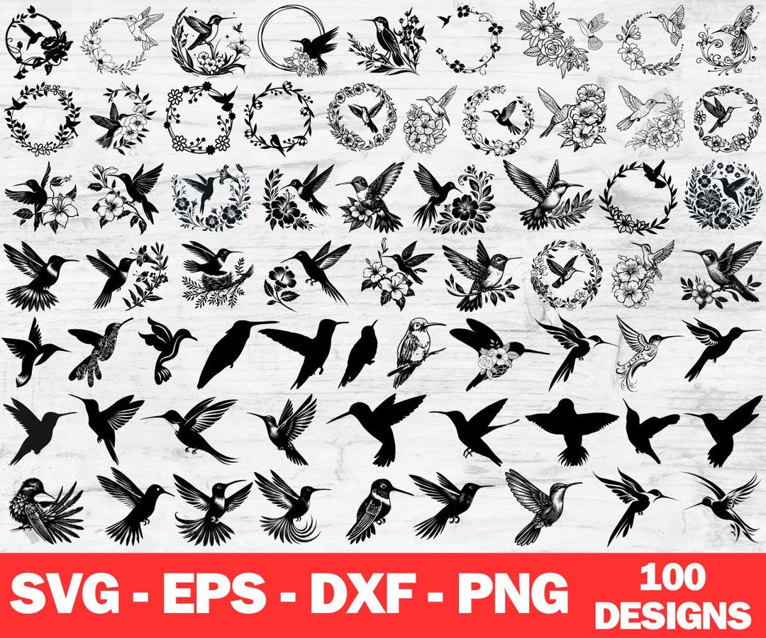 Hummingbird SVG PNG Bundle | Intricate Floral Hummingbird Clipart ...