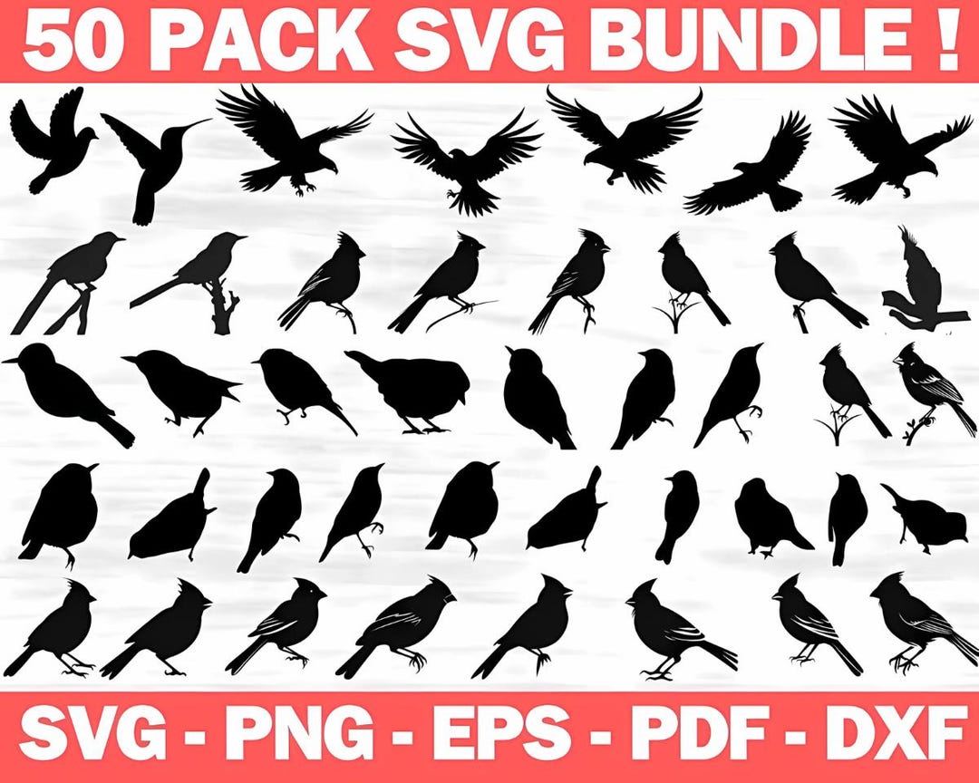 Bird SVG, Bird Svg Bundle, Flying Bird Svg, Animal Svg, Bird Clip Art ...