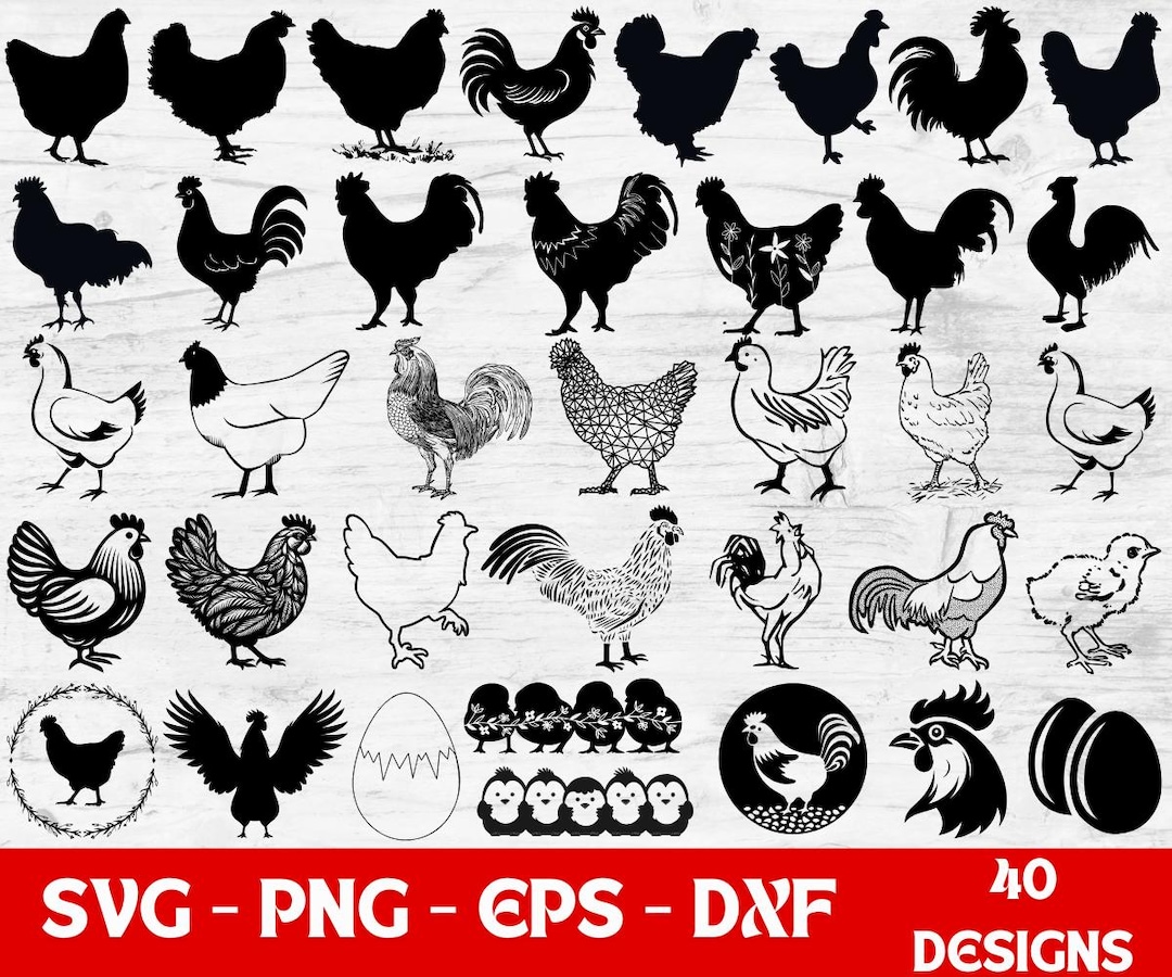 Chicken Png SVG Bundle, Chicken PNG Bundle, Chicken Clipart, Chicken ...