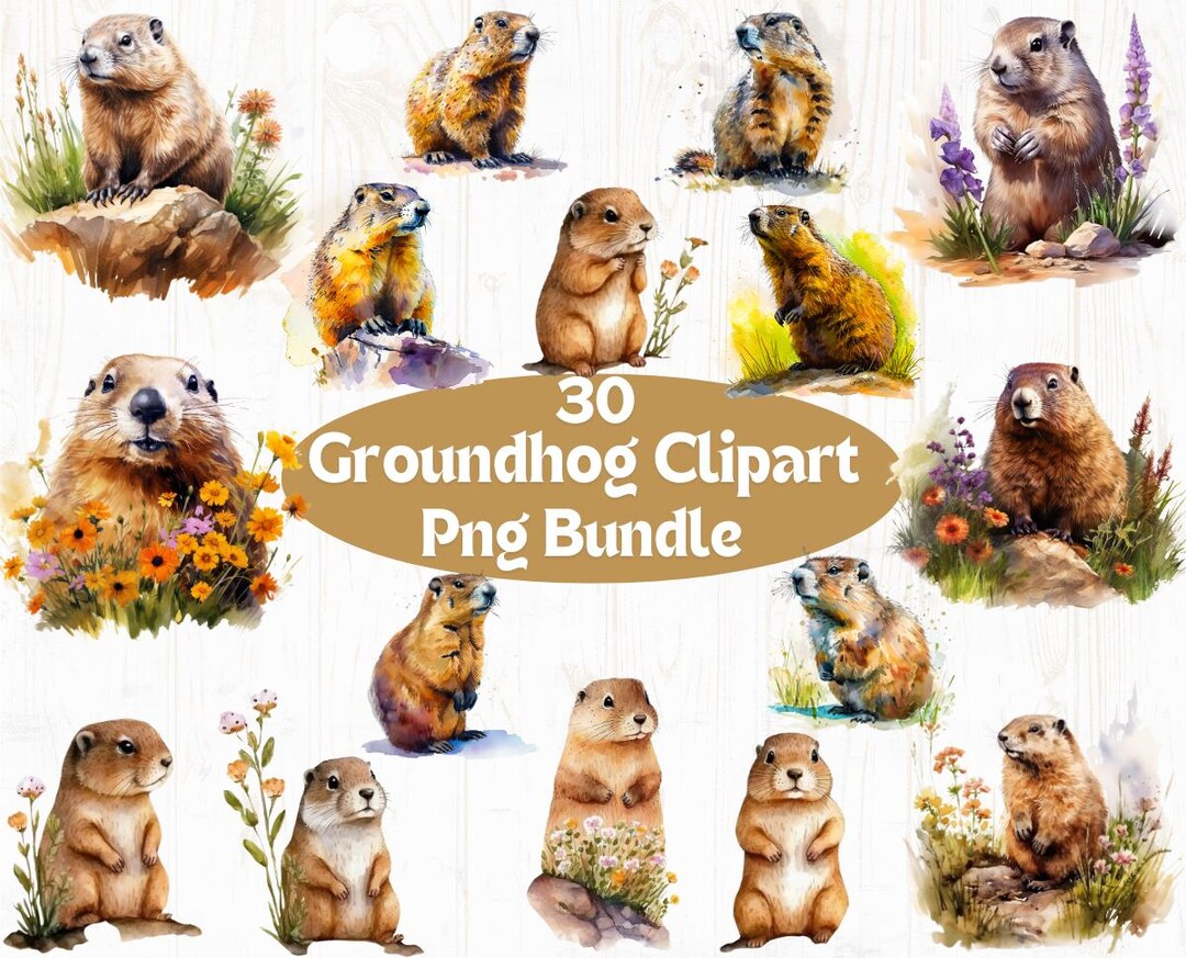 Groundhog Clipart, Commercial Use, Groundhog Png, Svg Files for Cricut ...