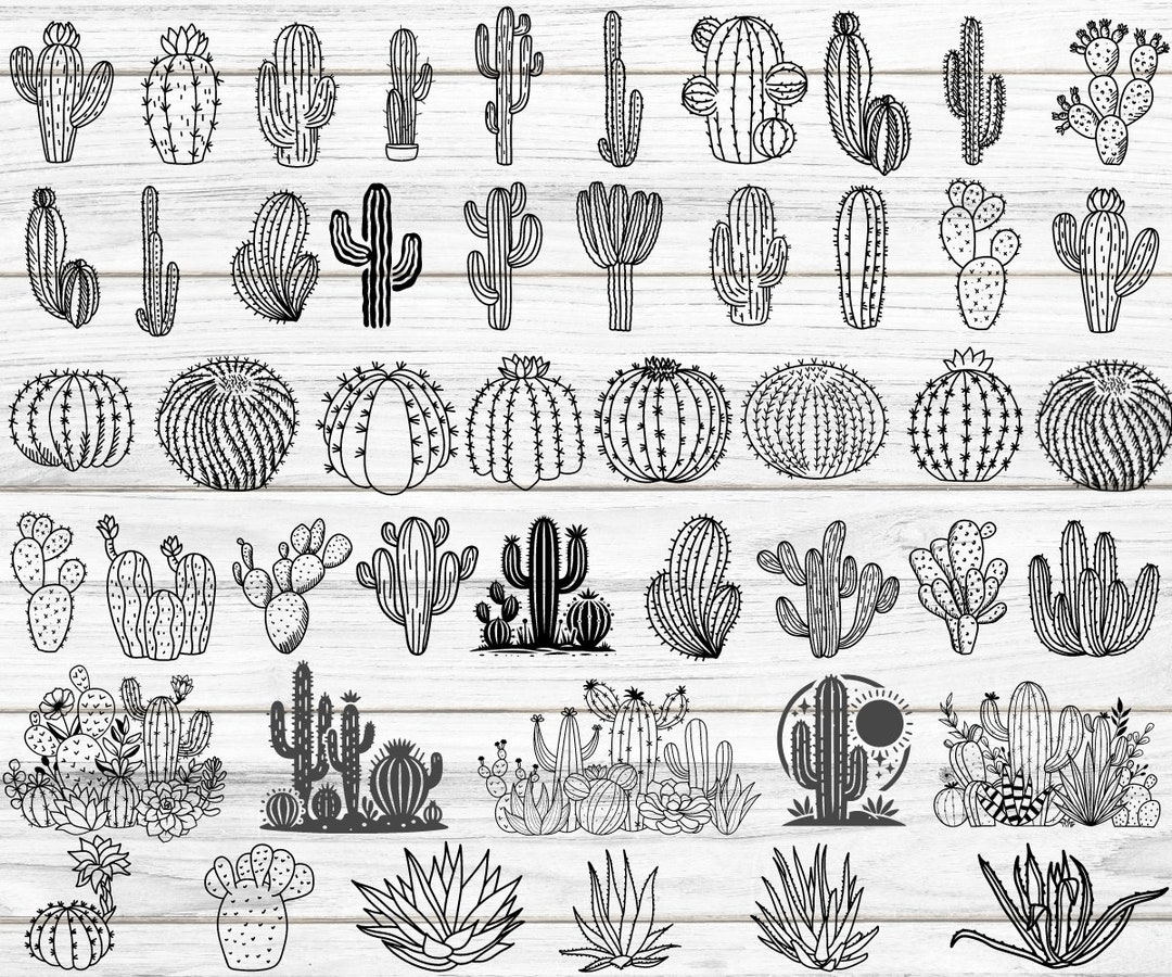 Cactus Collection SVG, Cactus SVG Bundle, Cactus Flower SVG File, Cacti ...
