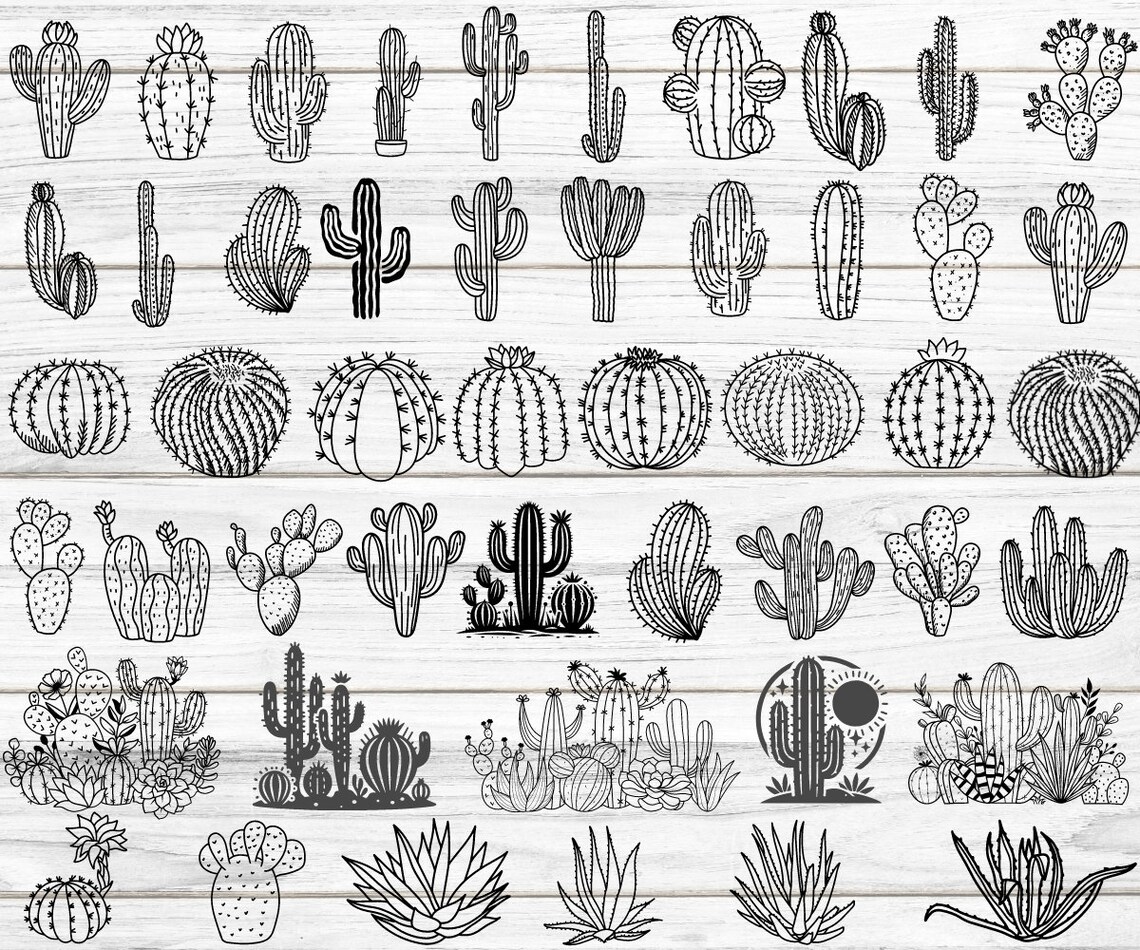 Cactus SVG Bundle, Cacti and Succulent Designs (svg, Png, Eps, Dxf) - Etsy