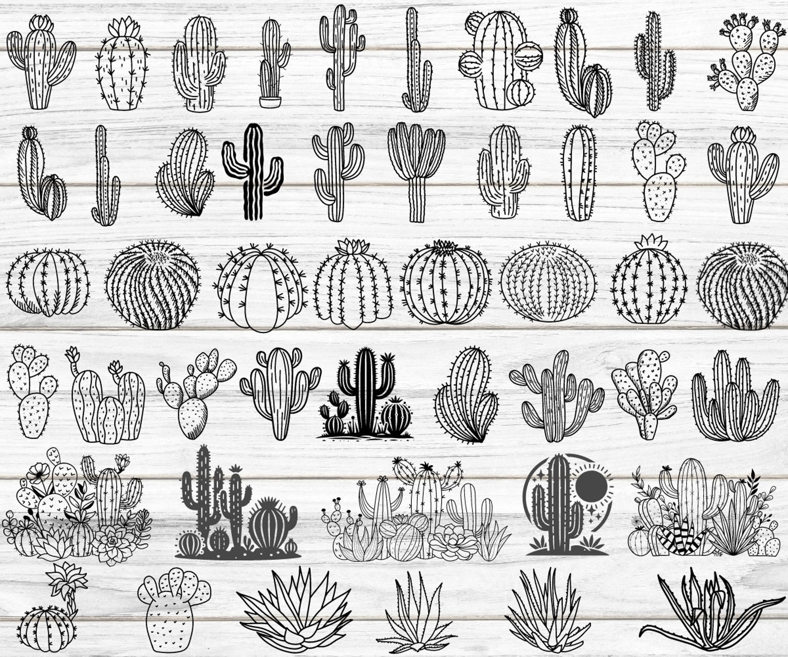 Cactus Collection SVG, Cactus SVG Bundle, Cactus Flower SVG File, Cacti ...