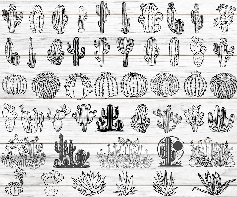 Cactus Collection SVG, Cactus SVG Bundle, Cactus Flower SVG File, Cacti ...