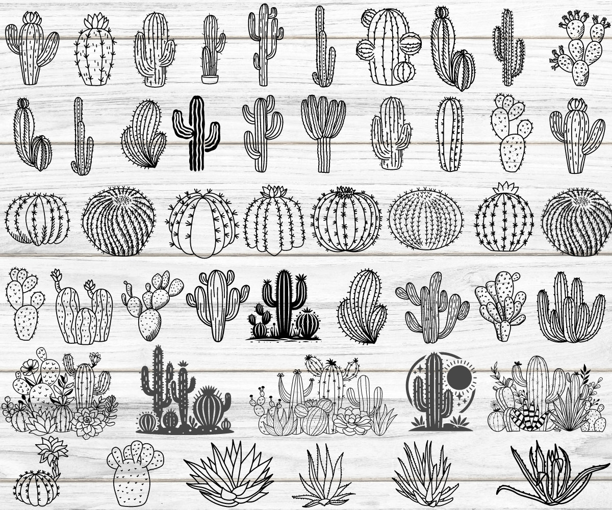 Cactus Collection SVG, Cactus SVG Bundle, Cactus Flower SVG File, Cacti ...