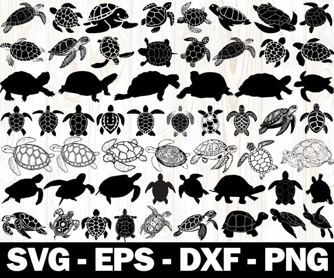 Turtle SVG, Turtle Cricut, Sea Turtle Svg, Turtle Clip Art, Turtle Png ...