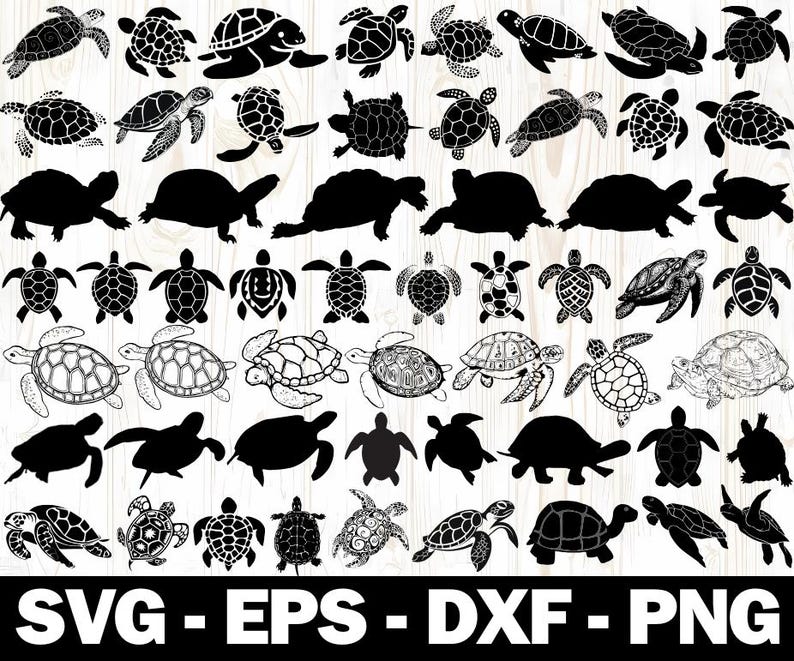 Turtle SVG Bundle: Sea Turtle Cut Files & Clipart (digital Download) - Etsy