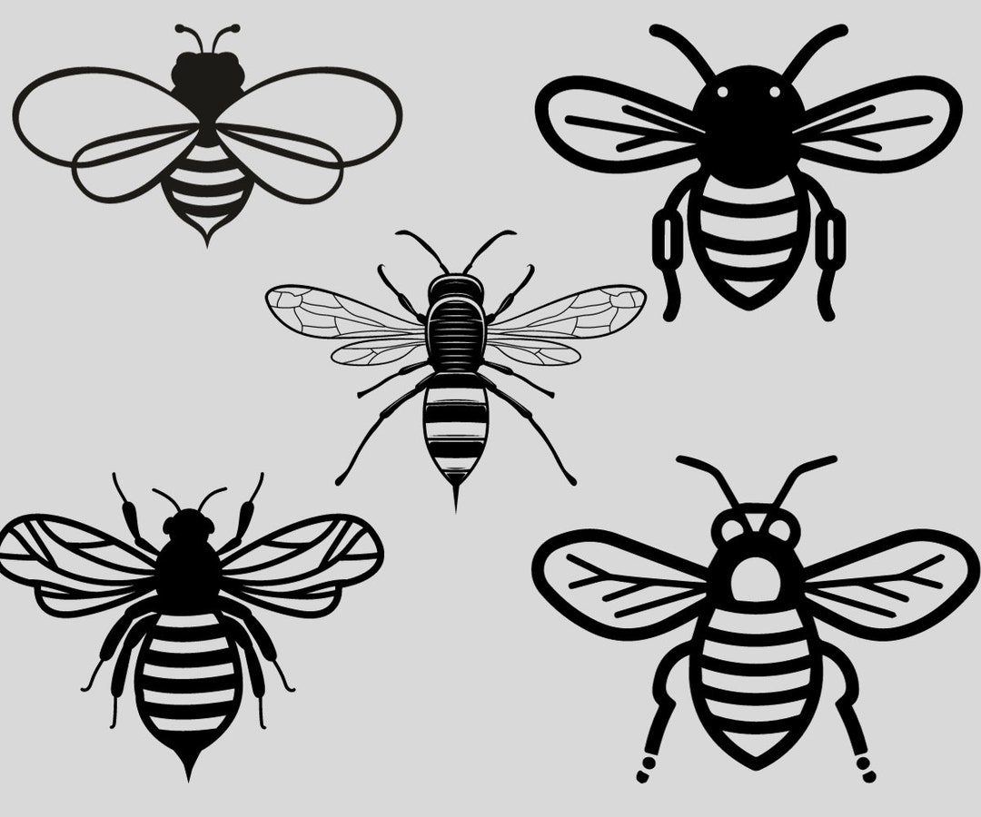 Bee SVG, Bee SVG Bundle, Honeybee SVG, Queen Bee Svg, Bee Hive Svg ...