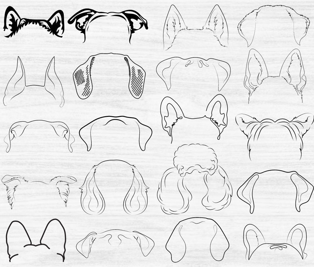 Dog Breed Ears Illustration SVG PNG Bundle Hand Drawn Dog Ears Outline ...