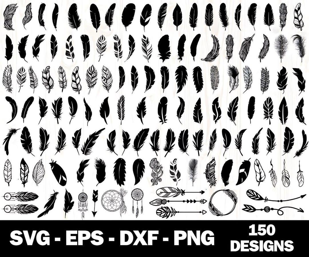 Feather Svg Bundle, Feather Birds Svg, Dxf, Png, Eps, Feathers ...