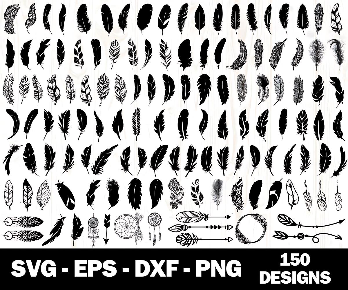 Feather Svg Bundle, Feather Birds Svg, Dxf, Png, Eps, Feathers ...