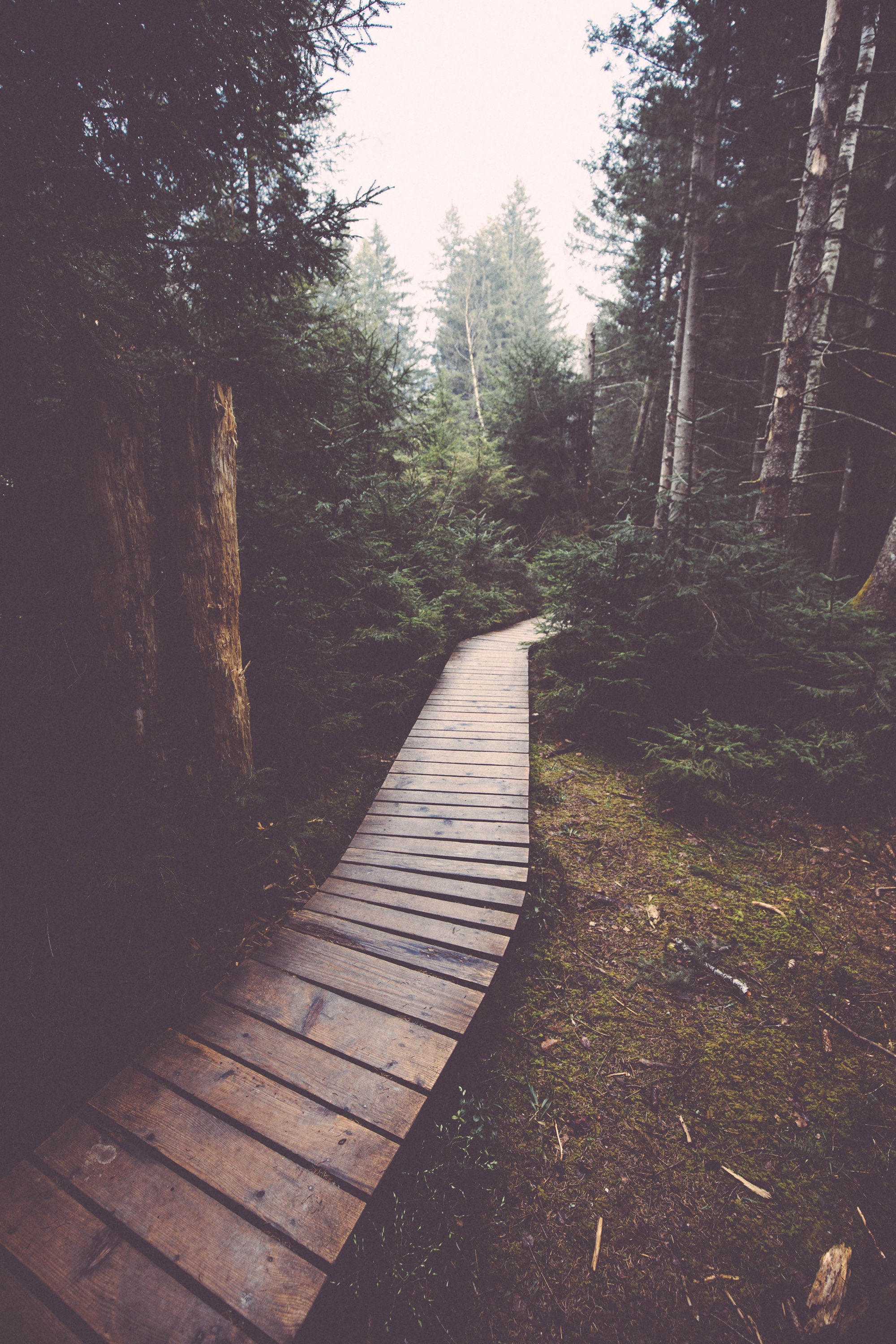 Digital Background, Wallpapers, Wallpaper Fpr Smartphone, Desktop ...