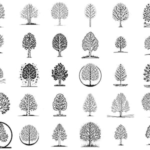 Aspen Tree Svg - Etsy