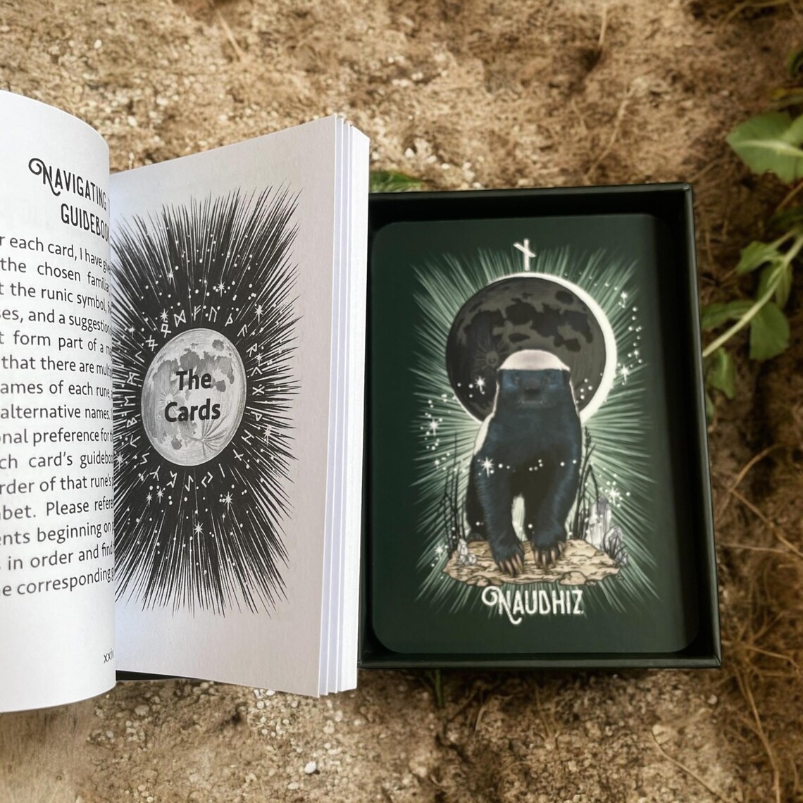 The Witch's Familiar Runic Oracle, A Sealed 24 Card Deck and Guide Book ...