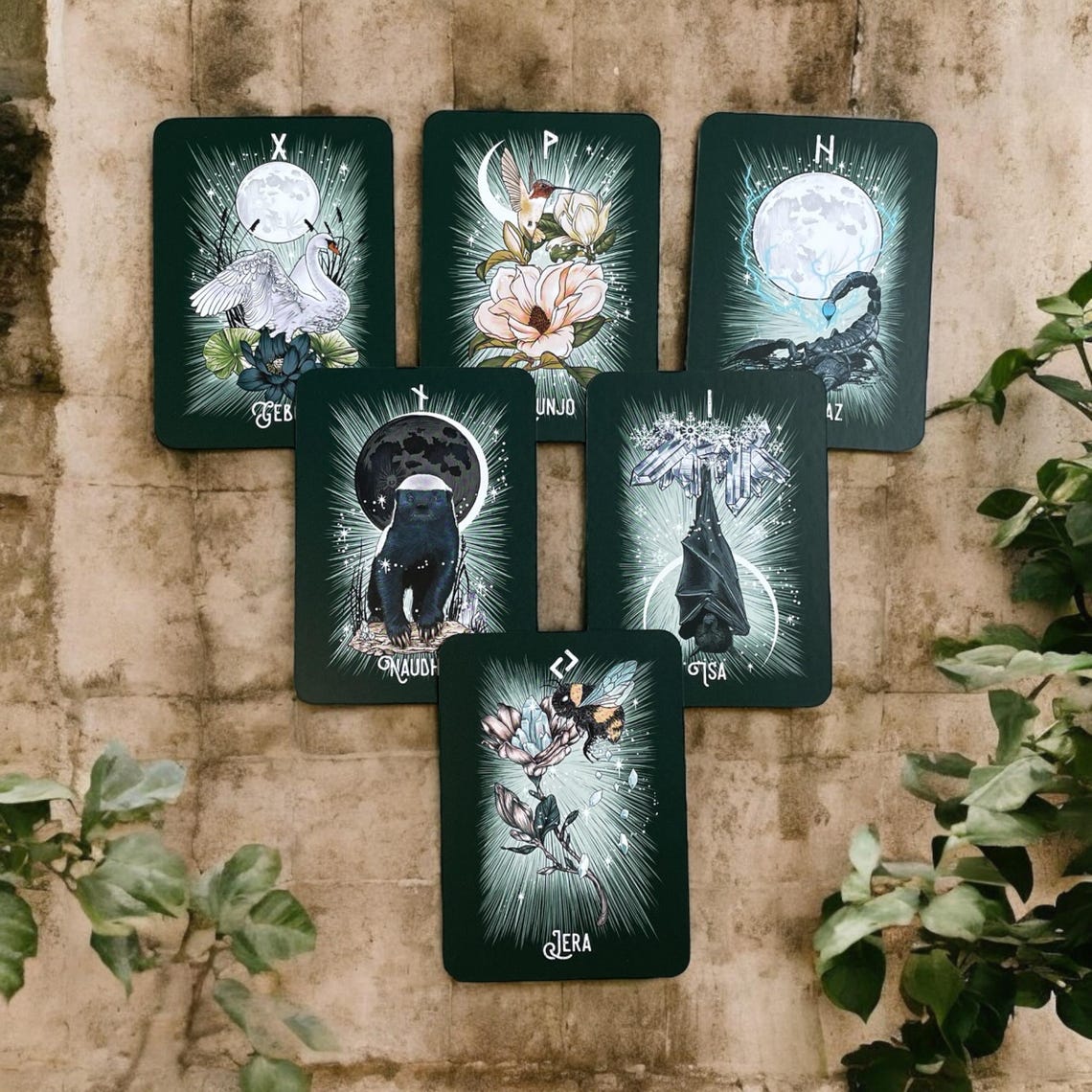 The Witch's Familiar Runic Oracle, A Sealed 24 Card Deck and Guide Book ...