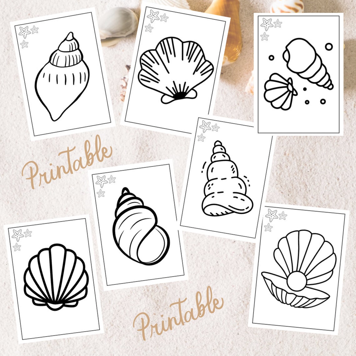 Sea Shells Coloring Pages | 7 Fun Seashells | Ocean Coloring Pages ...