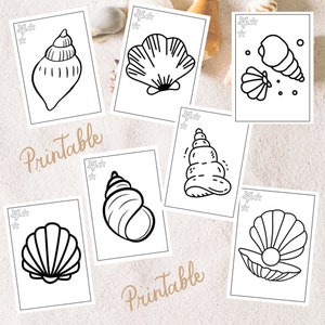 Sea Shells Coloring Pages | 7 Fun Seashells | Ocean Coloring Pages ...