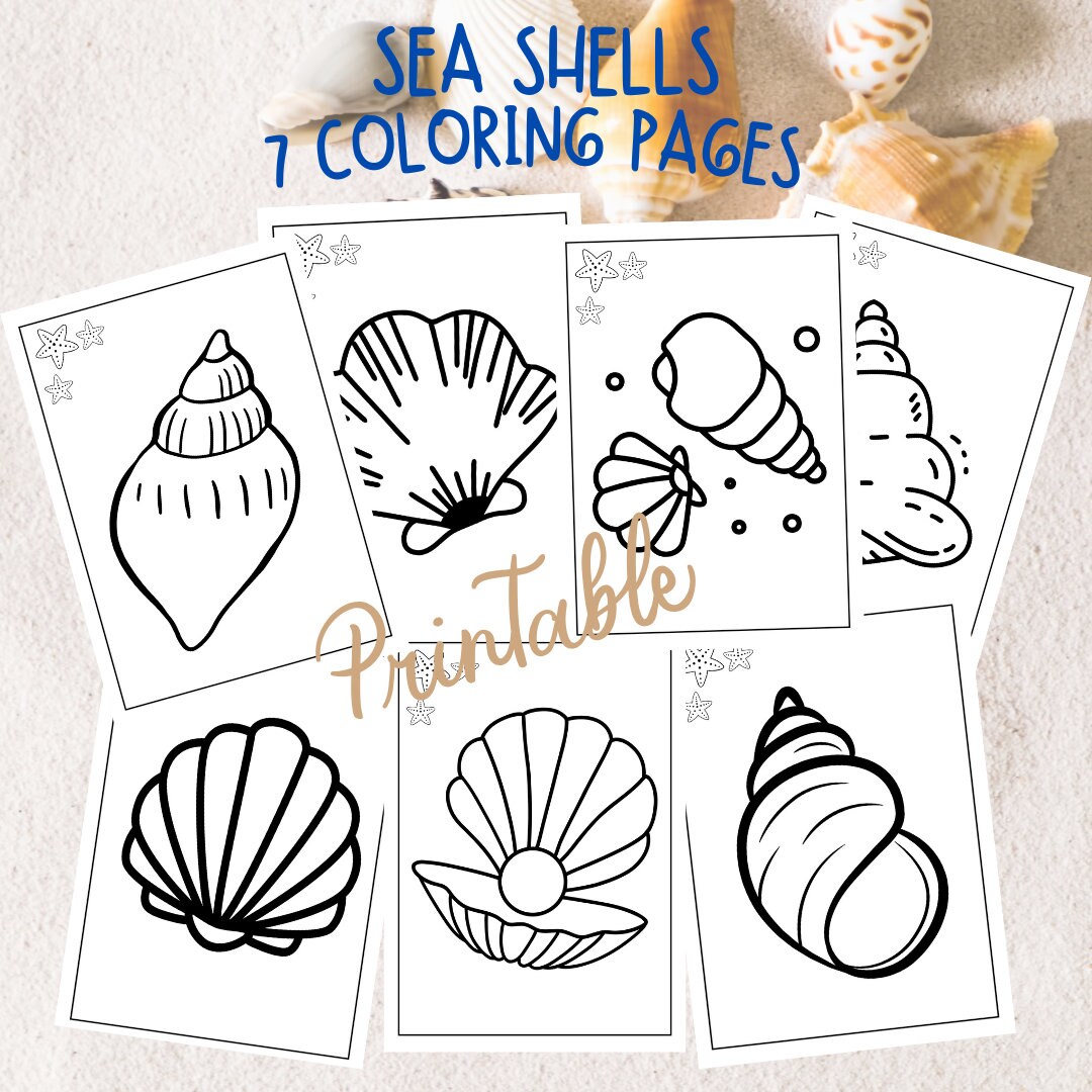 Sea Shells Coloring Pages | 7 Fun Seashells | Ocean Coloring Pages ...