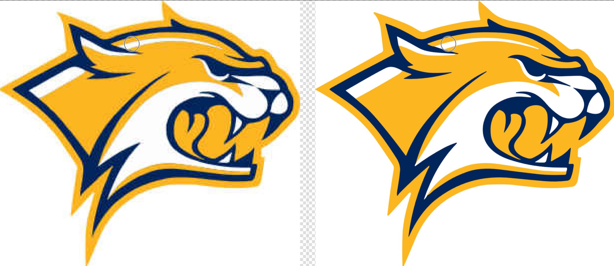 Custom SVG, Image Trace, Image to SVG, Custom Design Cricut, Custom Png ...