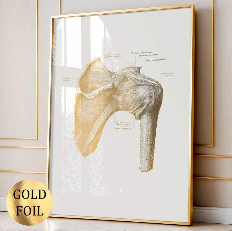 4 Hand Anatomy Posters, Elbow Joint, Shoulder Joint, Medical Art ...