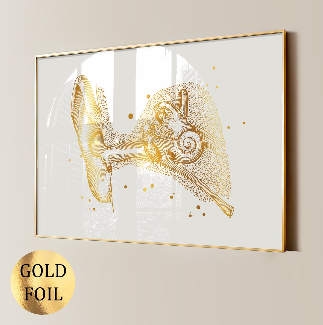 Inner Ear Anatomy Art Hearing System Structure Medical Art Gold Foil ...
