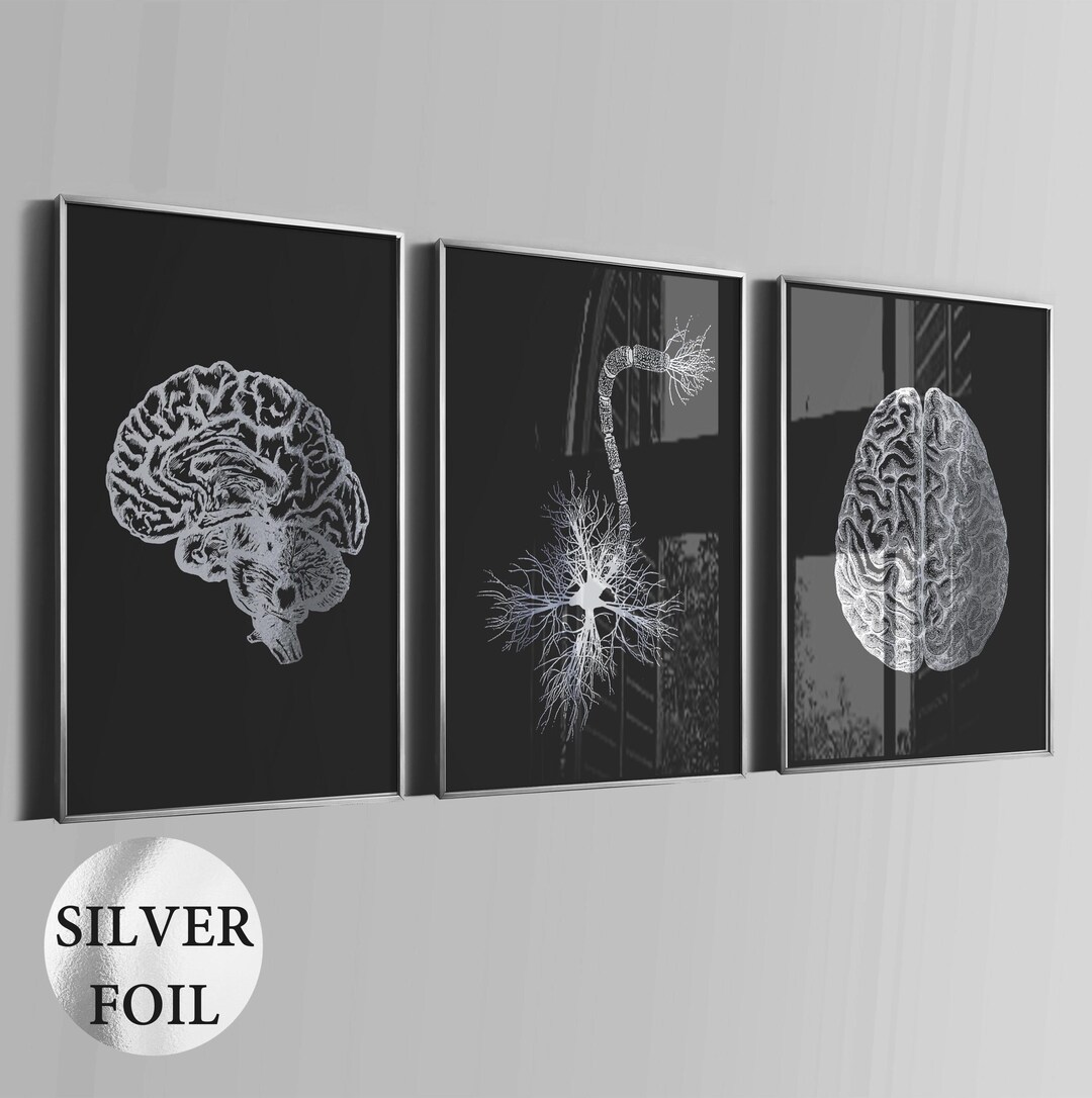 Set 3 Brain Anatomy Print Neuron Cell Art Neurology Art Neuroscience ...