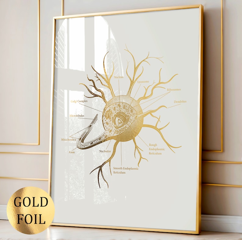 3 Gold Neuron Art Brain Anatomy Art Nerve Cell Art Neurology Art ...