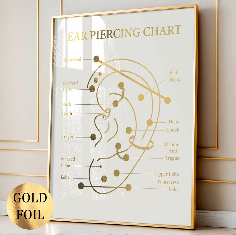 3 Piercing Art Ear Piercing Chart Facial Piercing Poster Piercing ...
