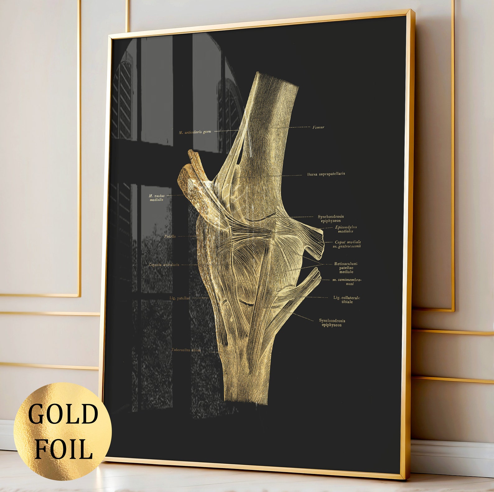 6 Knee Anatomy Art Orthopedic Art Knee Joint Posters Physiotherapy Art ...