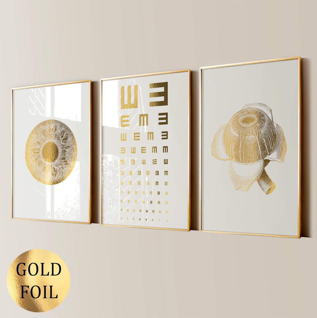 3 Optometrist Gift, Gold Eye Anatomy Art, Optometry Art, Medical Art ...