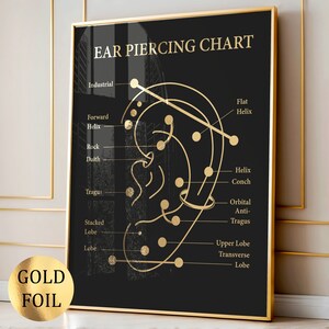 Set 6 Piercing Posters Ear Piercing Facial Piercing Micro Dermal ...