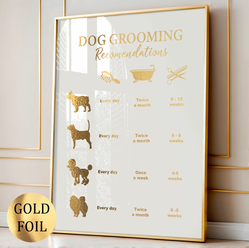 6 Dog Grooming Posters Groomer Gift Grooming Salon Decor Pet Dental ...