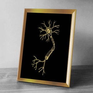Set 3 Brain Anatomy Art Neuron Poster Neurology Art Medical Art ...
