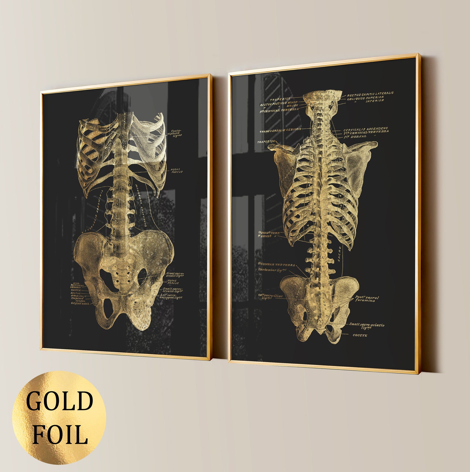 2 Skeleton Anatomy Art Medical Art Orthopedic Gift Skeletal System ...