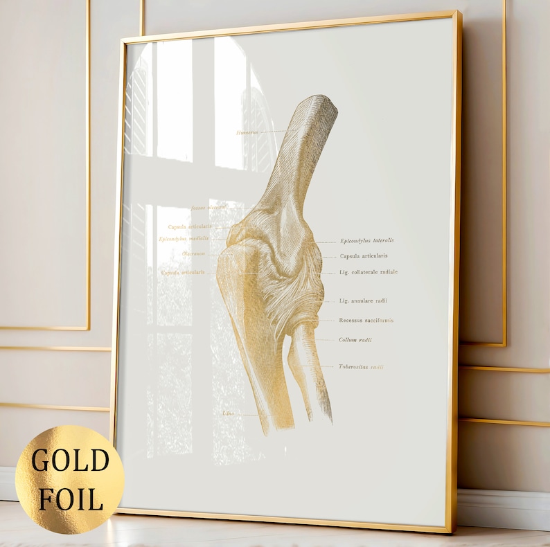 4 Hand Anatomy Posters, Elbow Joint, Shoulder Joint, Medical Art ...