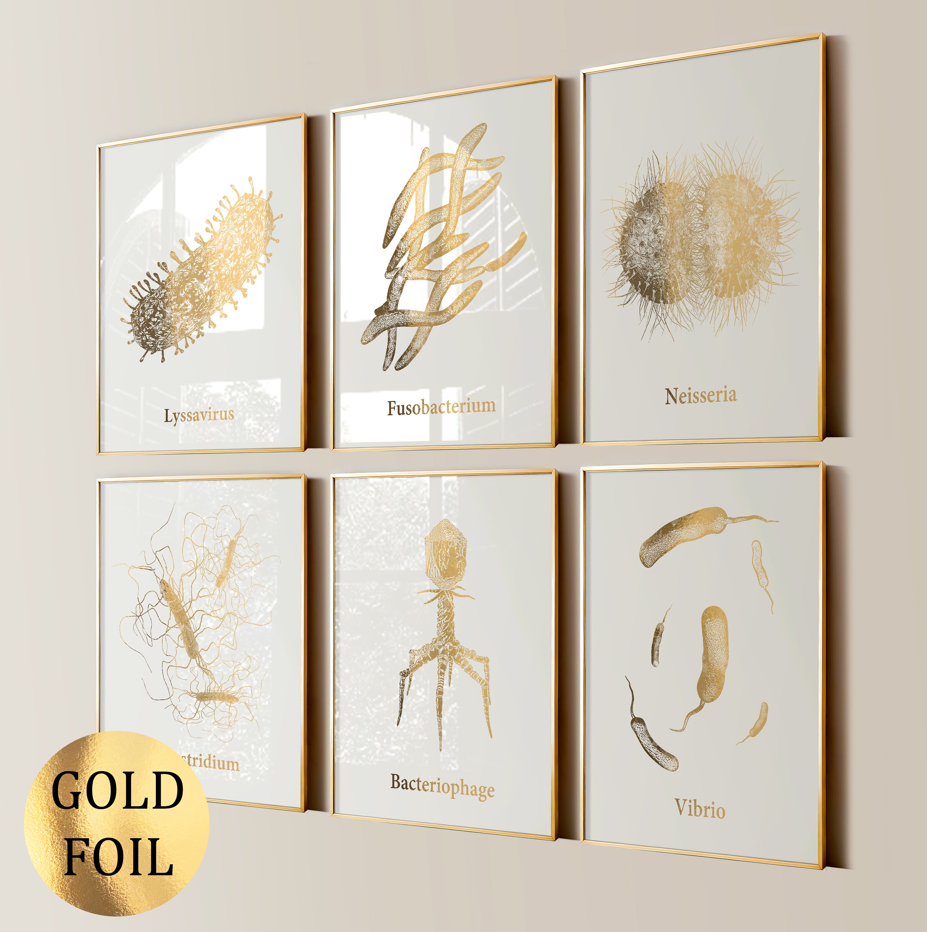 6 Bacteria Art Microbe Poster Microbiology Art Science Art ...