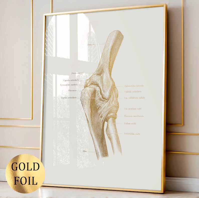 4 Gold Elbow Joint Anatomy Posters, Hand Diagram, Medical Art ...