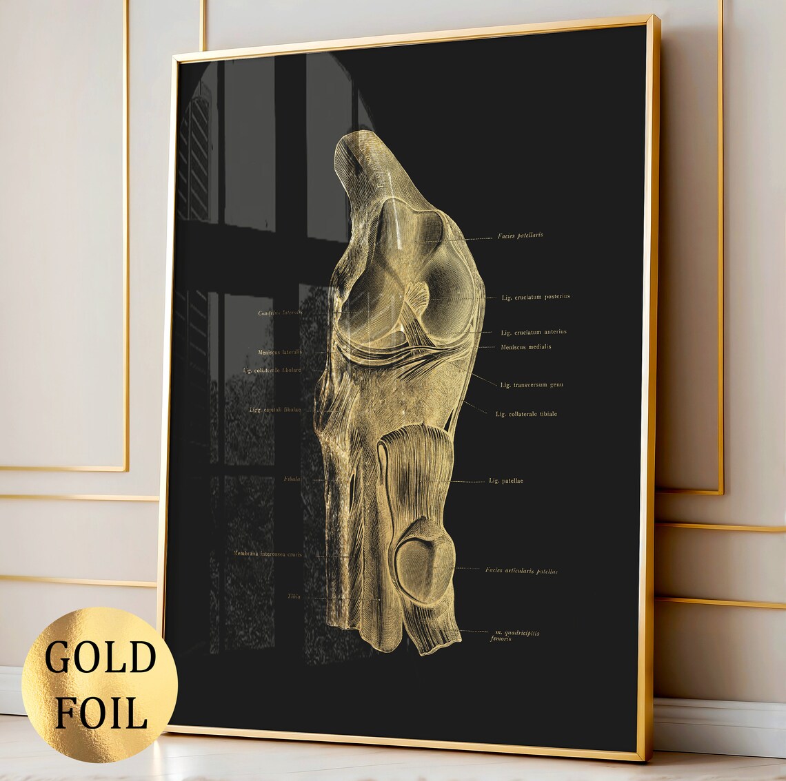 6 Knee Anatomy Art Orthopedic Art Knee Joint Posters Physiotherapy Art ...