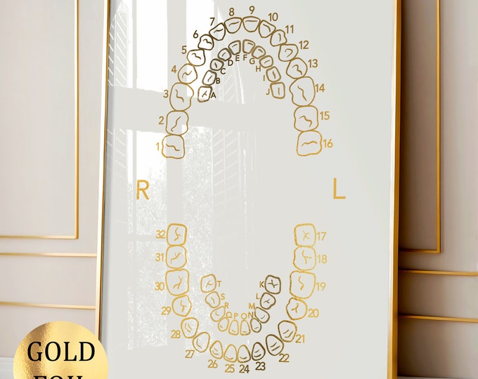 Tooth Numbering Poster Dentistry Art Dental Anatomy Art Tooth Chart ...