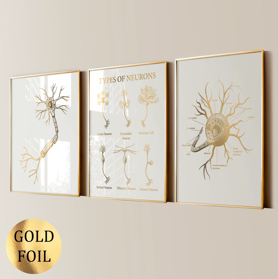3 Gold Neuron Art Brain Anatomy Art Nerve Cell Art Neurology Art ...
