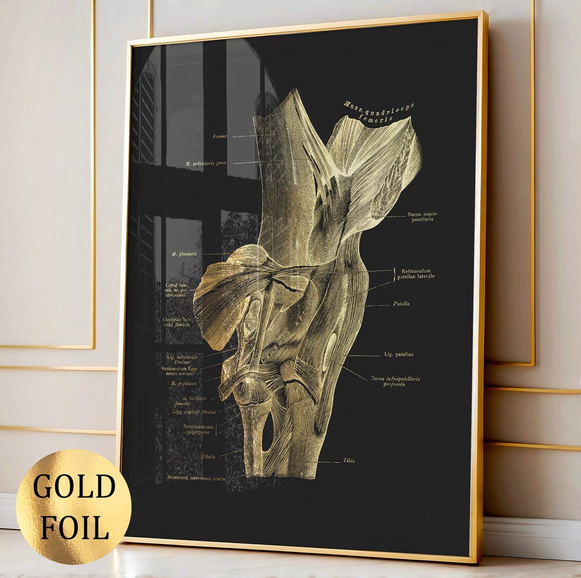 6 Knee Anatomy Art Orthopedic Art Knee Joint Posters Physiotherapy Art ...