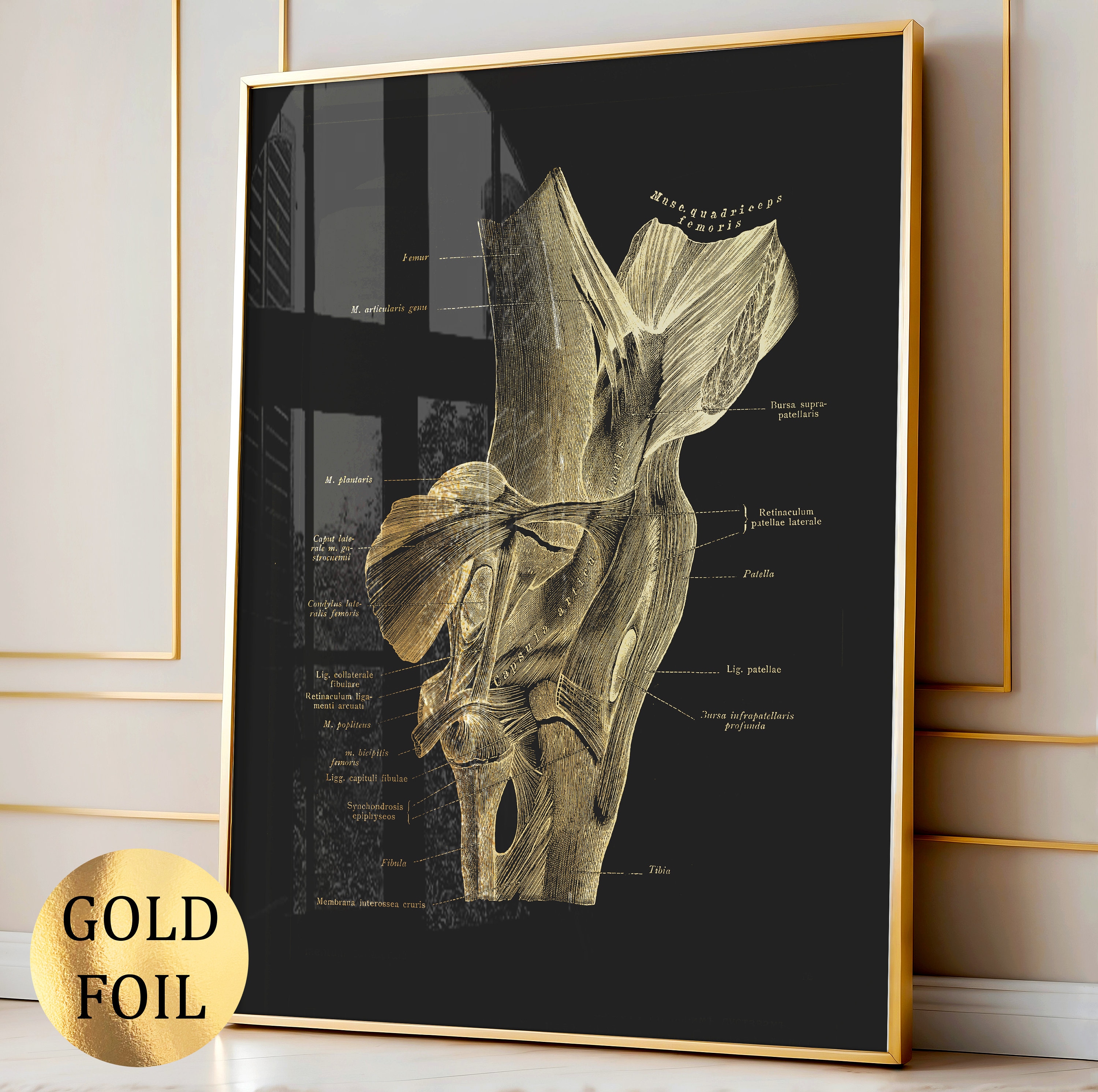 6 Knee Anatomy Art Orthopedic Art Knee Joint Posters Physiotherapy Art ...