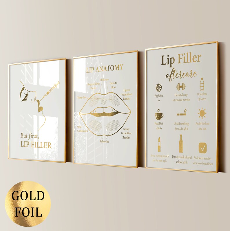 3 Lip Anatomy Art Lip Filler Injection Poster Plastic Surgeon Gift ...