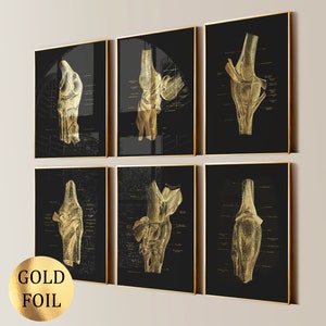 6 Knee Anatomy Art Orthopedic Art Knee Joint Posters Physiotherapy Art ...