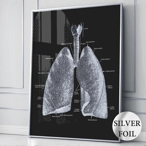 Set 3 Lung Anatomy Posters Science Art Medical Art Respiratory System ...