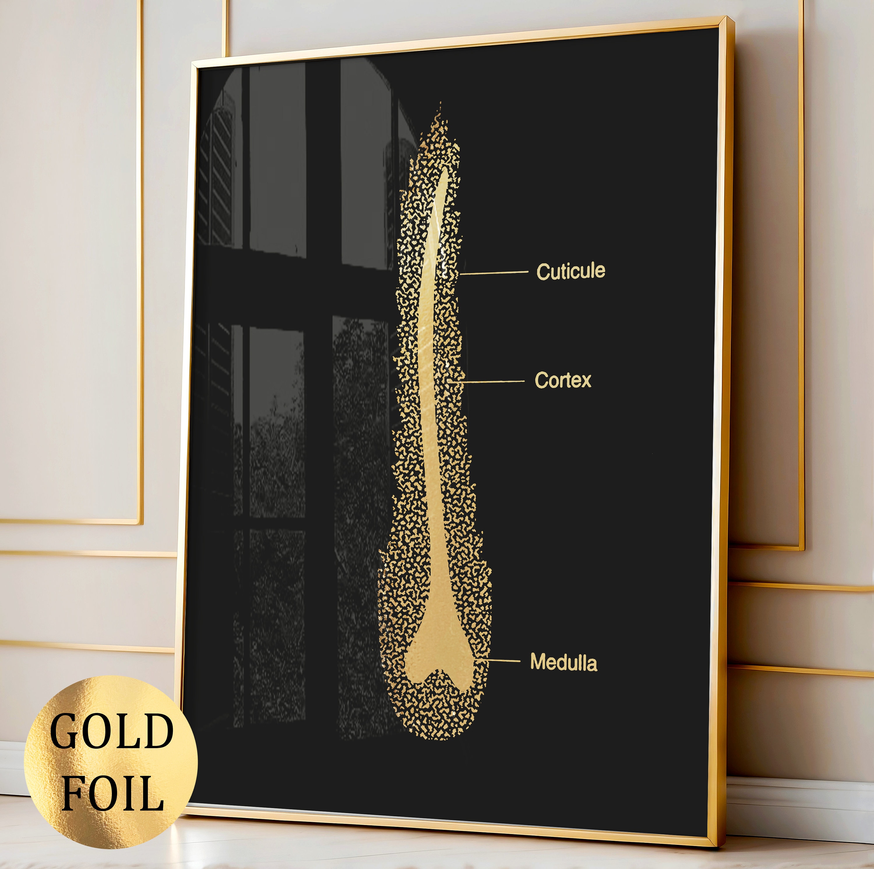 4 Human Hair Structure Posters Hail Follicle Diagram Hair Removal ...