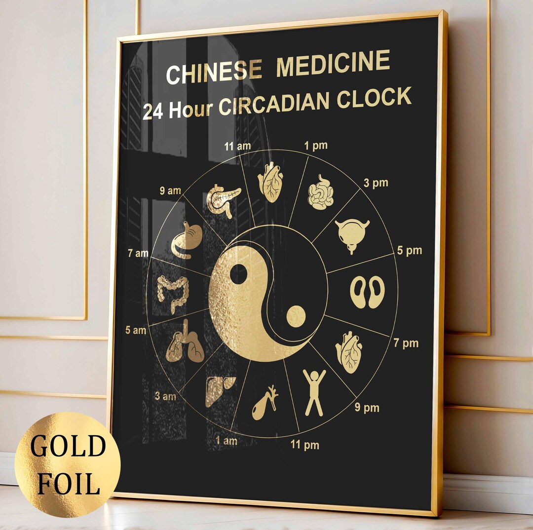 Chinese Medicine Organ Clock Poster Circadian Clock Healthy Art ...