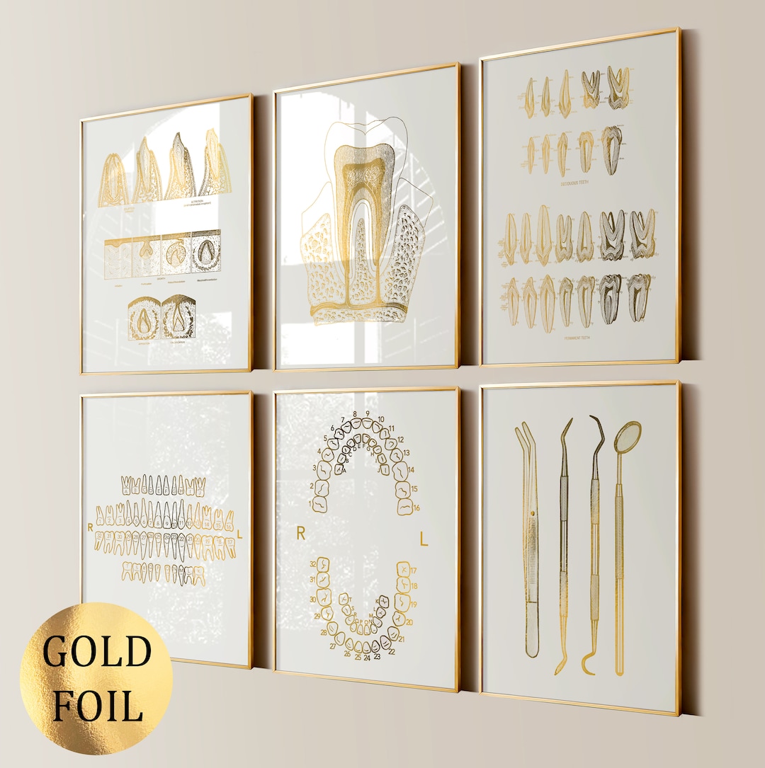 Set 6 Tooth Anatomy Art Dental Medicine Poster Tooth Diagram Teeth ...